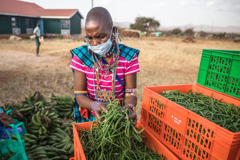 Food banks in Africa: a novel solution to the continent’s hunger and ...