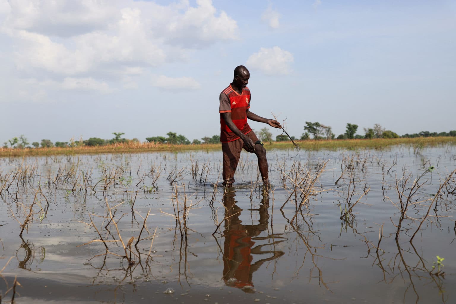 Hundreds of millions pledged for African carbon credits at inaugural ...