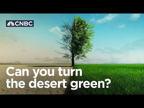 How does a desert turn green? - CNBC Africa