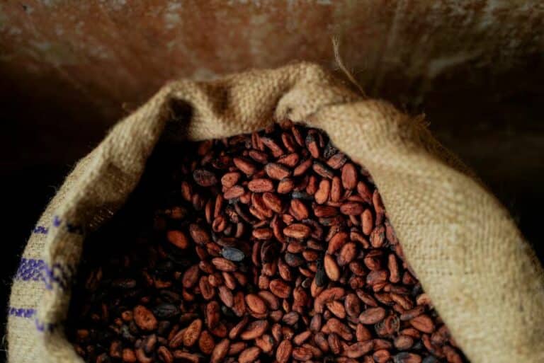 As cocoa prices melt down, real chocolate is making a comeback - CNBC ...
